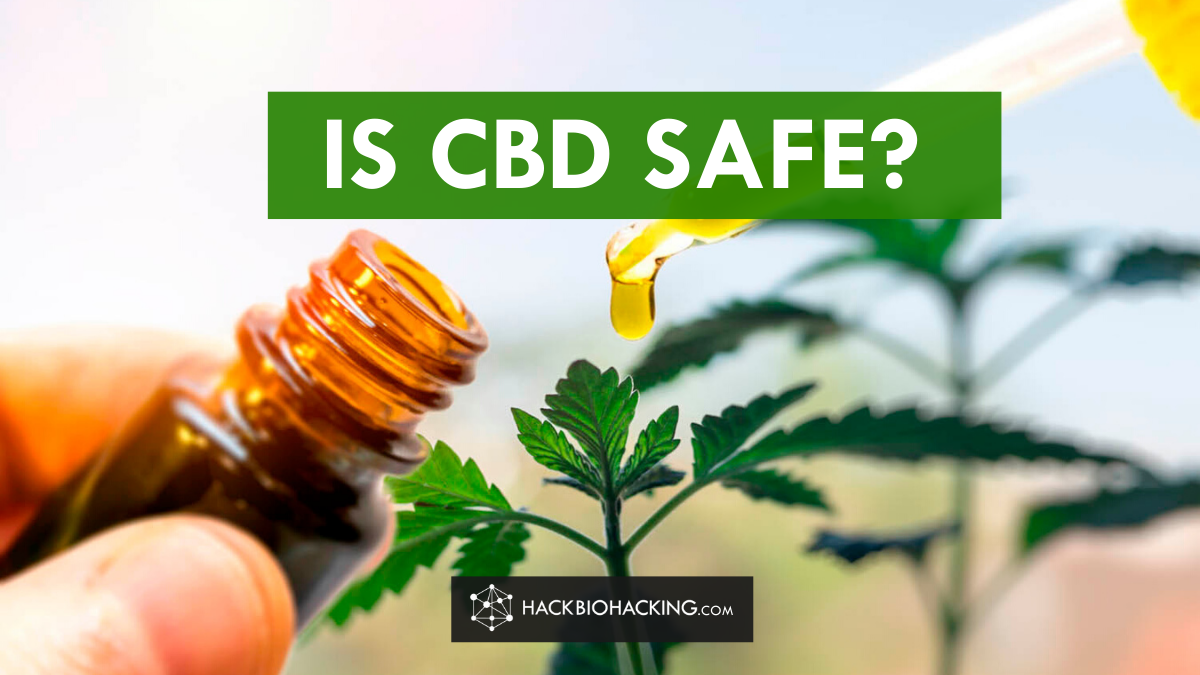 Is CBD Safe Hack Biohacking Is CBD Safe Hack Biohacking