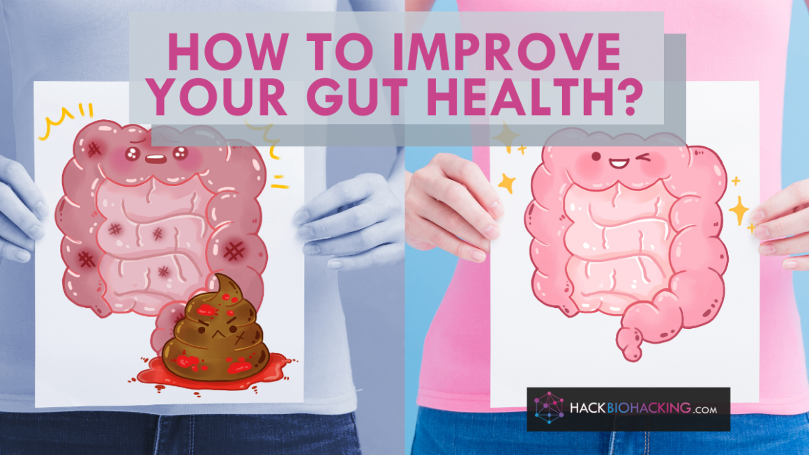 How to Improve Your Gut Health? - Hack Biohacking