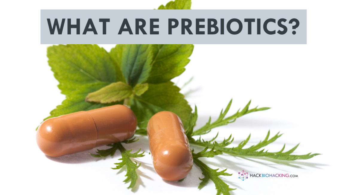 What are Prebiotics? - Hack Biohacking